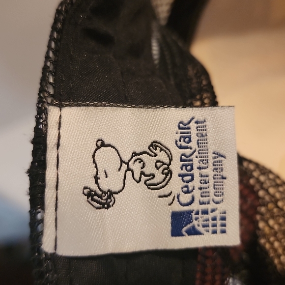 cedar fair | Accessories | Peanuts Charlie Brown Hat | Poshmark